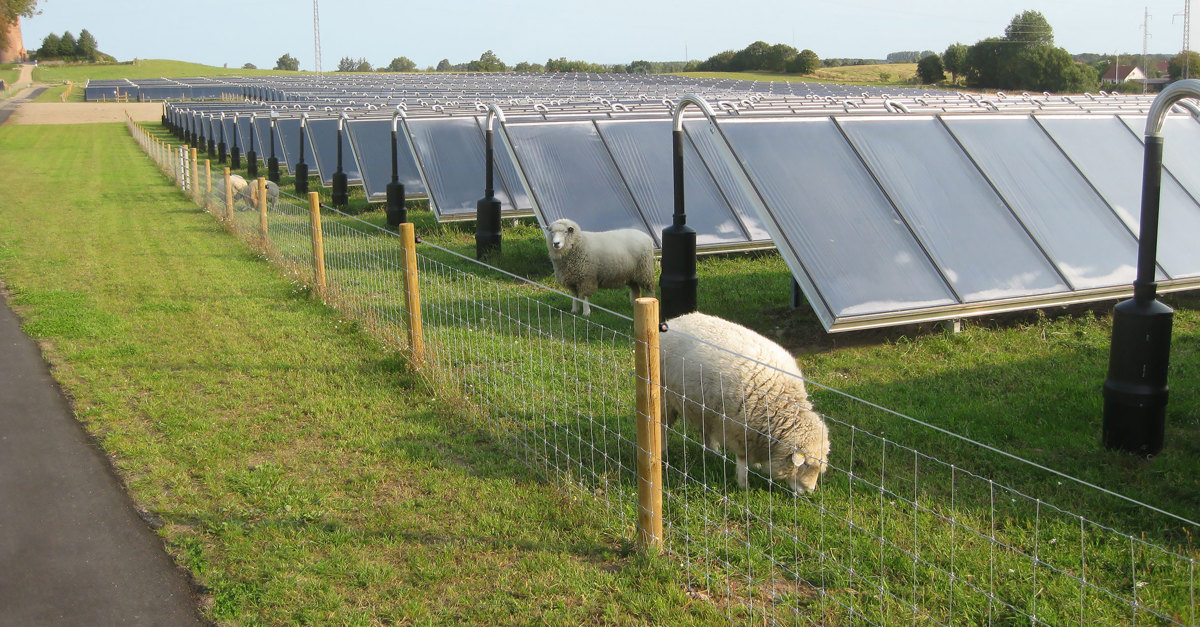 Stängsel för solcellsparker